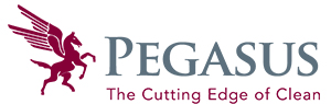 Pegasus Building Services